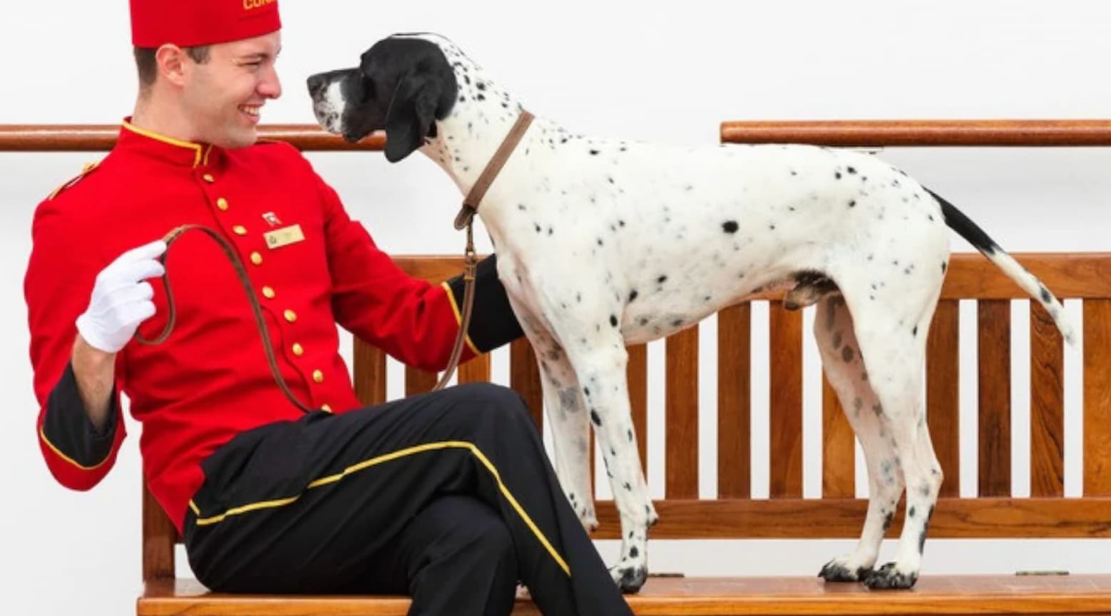 Dog-Friendly Cruises UK